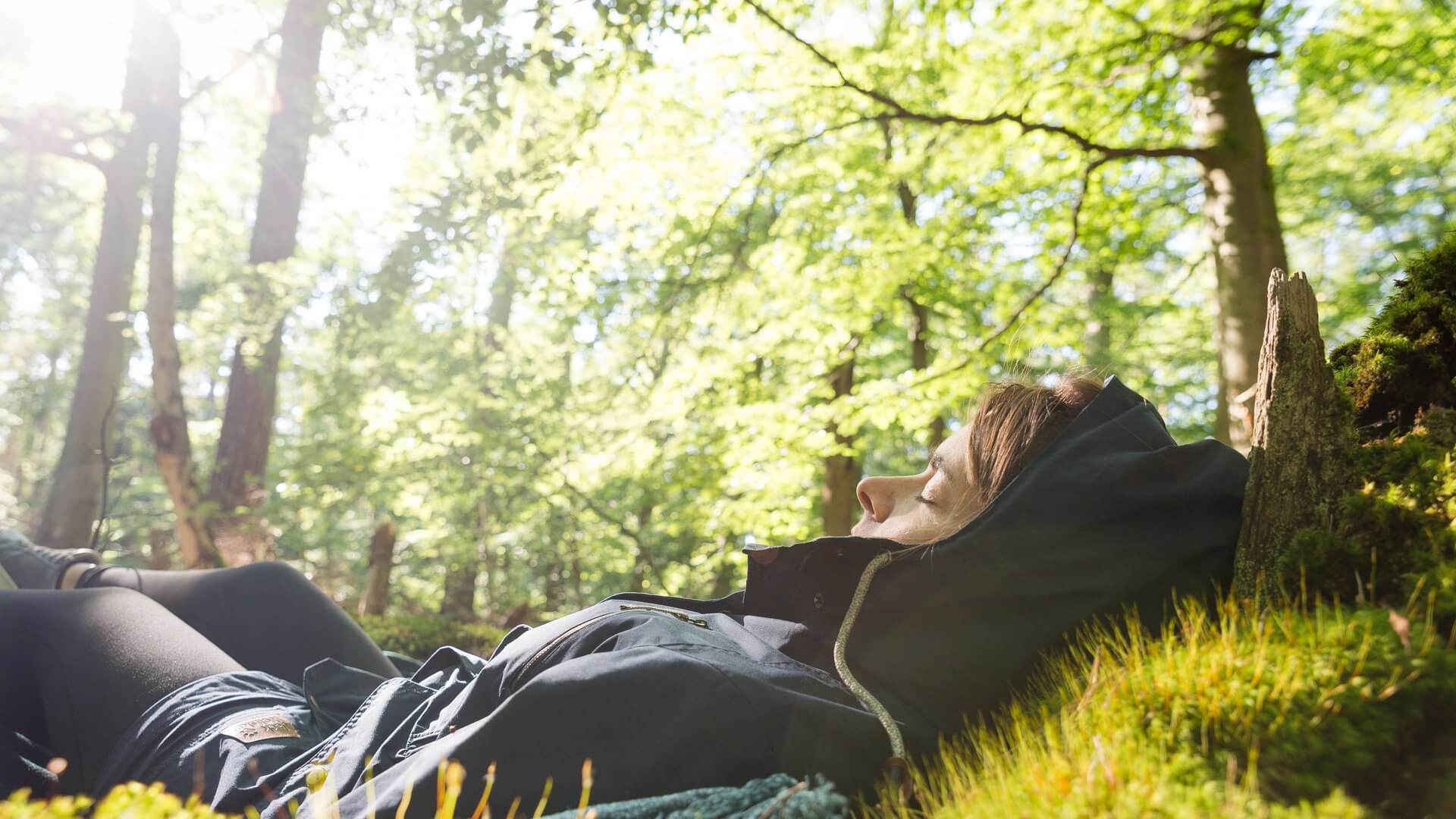 Waldtherapie - Wald-MV